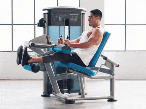 PRONE LEG CURL VS. SEATED LEG CURL: WHICH IS BETTER? | Shazo Shop